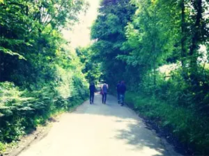 The Red Tickets, Tour and Concert Dates – www.livenation.com.au